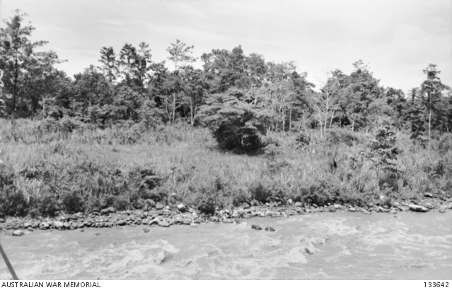 LAE, NEW GUINEA. 1946-01-28. THE BANK OF THE BUSU RIVER. JOINS ...