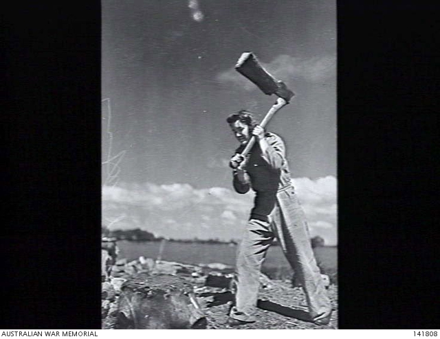 Victoria. 1944-10-15. A member of the Australian Women's Land Army ...