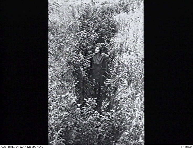 Melbourne, Vic. 1943-11-02. One of the overgrown air raid trenches in ...
