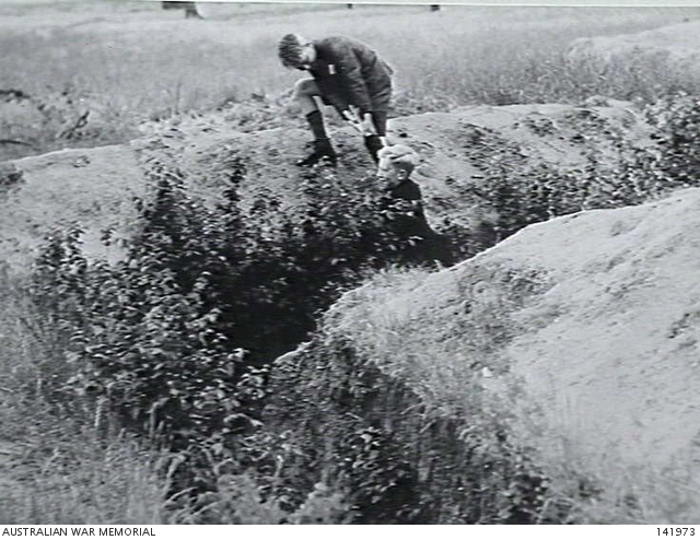 Melbourne, Vic. 1943-11-02. One of the overgrown air raid trenches in ...