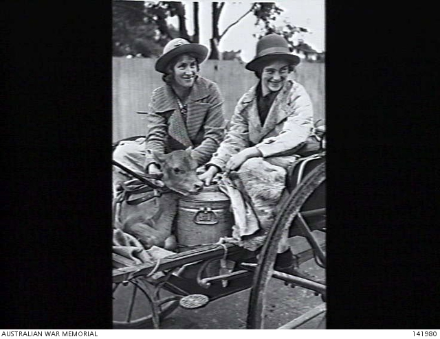 Victoria. 1943-11-03. Mrs Splatt (left) and her daughter Greta bringing ...