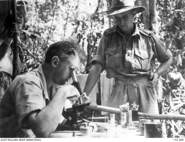 Soputa, New Guinea. December 1942. An Australian medical orderly, Staff ...