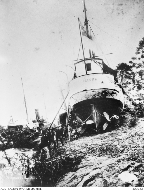 BRISBANE, QLD. 1893-02. STERN VIEW OF THE SURVEY SHIP HMS PALUMA, A ...