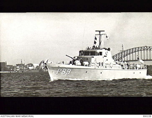 SYDNEY, NSW. 1968. PORT BOW VIEW OF THE PATROL BOAT HMAS ASSAIL (P89 ...
