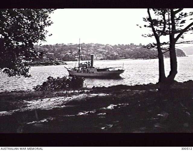SYDNEY, NSW. PORT QUARTER VIEW OF THE PILOT VESSEL CAPTAIN COOK WHICH ...