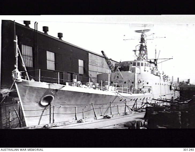 BLACKWALL, ENGLAND. 1955. PORT BOW VIEW OF THE FRIGATE HMAS ...