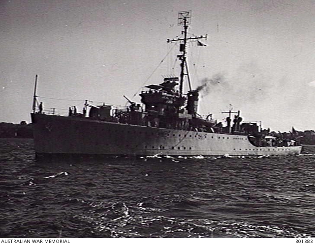 SYDNEY, NSW. 1947-01-14. PORT BOW VIEW OF THE SLOOP HMAS SWAN (II). HER ...