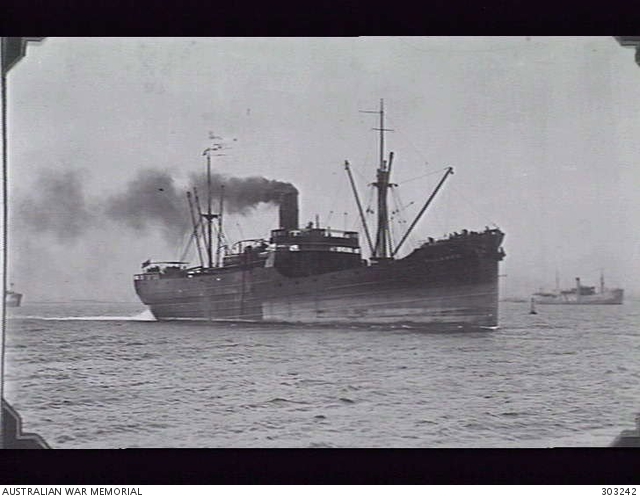 STARBOARD BOW VIEW OF THE AUSTRALIAN CARGO VESSEL ELLAROO IN LIGHT ...