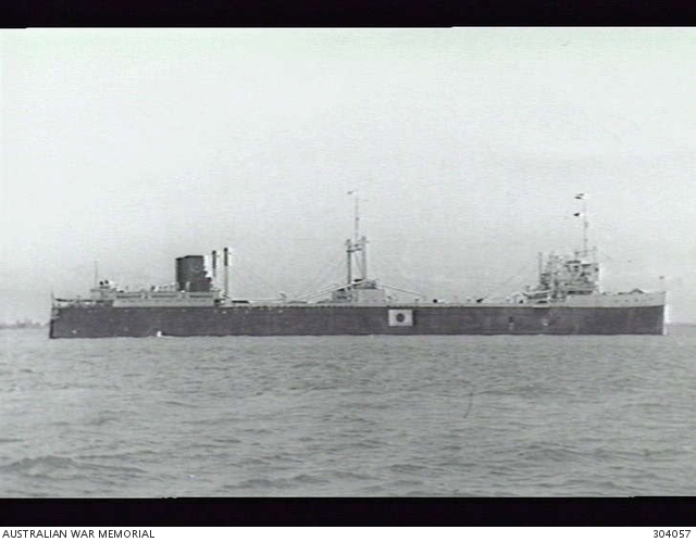 STARBOARD SIDE VIEW OF THE JAPANESE WHALE FACTORY VESSEL TONAN MARU NO ...