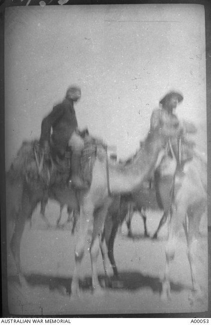 A captured Austrian officer being led by a lighthorseman on camel at ...