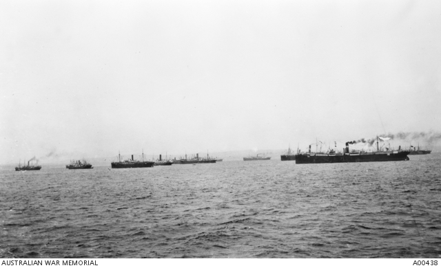 Australian transport ships off Anzac Cove during the landing ...