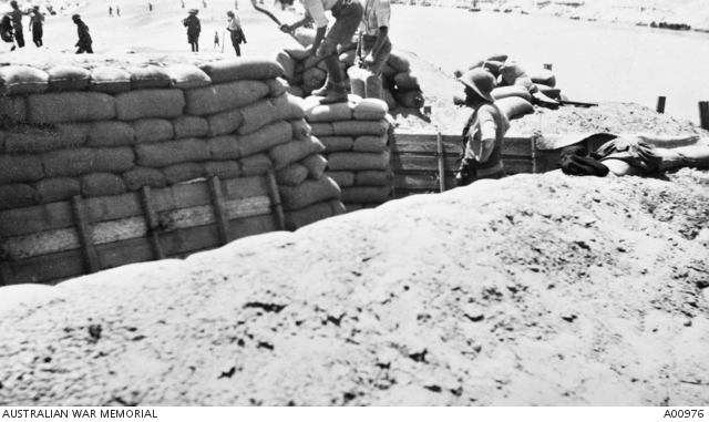 Australian engineers constructing trench defences next to the Suez ...