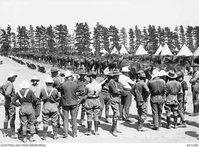 Men from the 1st Royal Australian Naval Bridging Train (RANBT) gather ...
