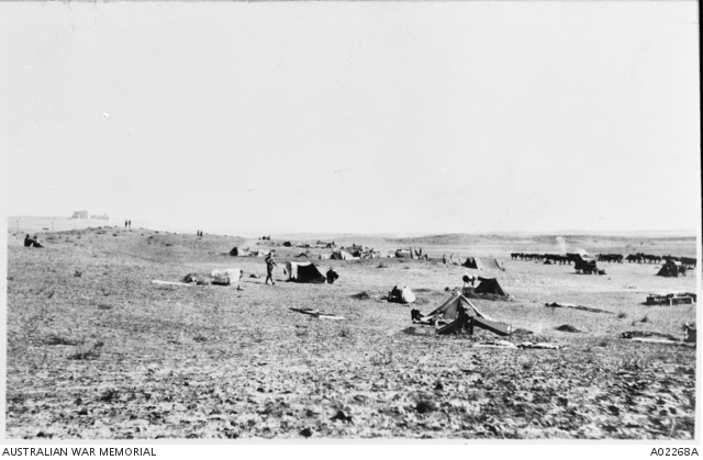View of the camp at the Anzac Receiving Station at Rashid Bek, the day ...