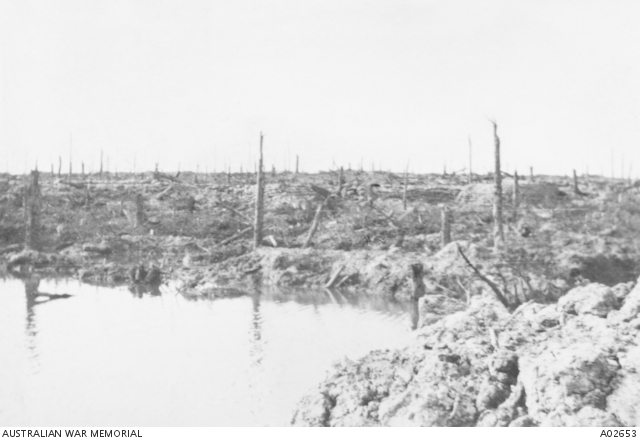 The devastated landscape in the Ypres salient. | Australian War Memorial