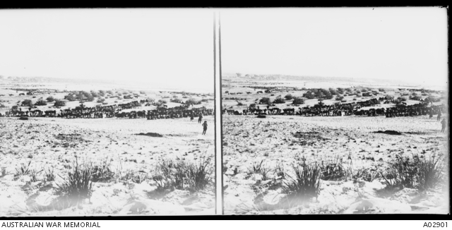 An Australian Light Horse camp at Belah. This is one half of a stero ...