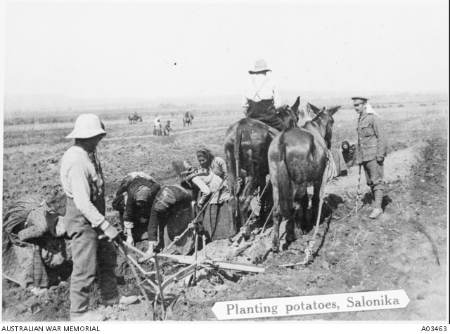 A soldier watches as local people plough and plant potatoes in a field ...
