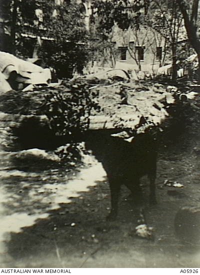 PEKING, CHINA. 1900. THE STUDENTS' COMPOUND AT THE BRITISH LEGATION ...