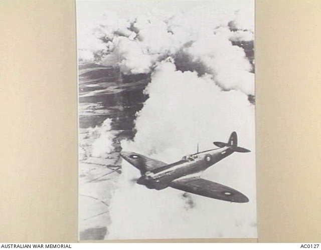 SPITFIRE, "WILD" (UNREADABLE SERIAL), TYPE, UNIT, LOCATION, DATE ...
