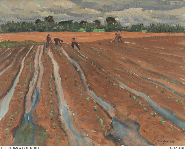 Watering young tomatoes, Loveday Internment Camp | Australian War Memorial