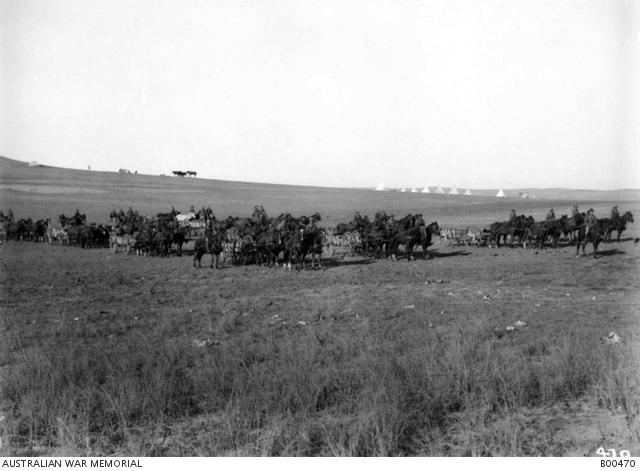 General Service (GS) wagon and limber transport with the 6th Australian ...
