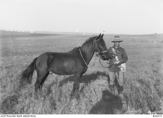 The mascot of the 6th Australian Light Horse Regiment held by an ...