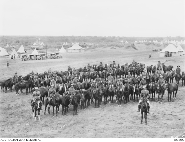 Original horses of the 8th Australian Light Horse Regiment and their ...
