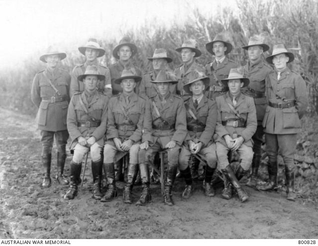 Group portrait of unidentified Divisional Train Officers of the ...