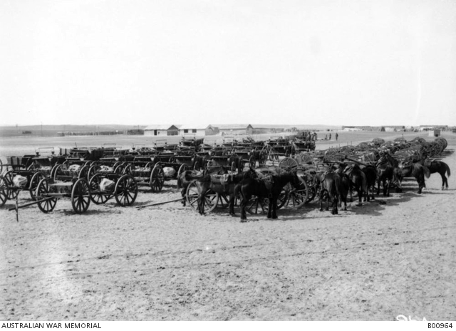 The Anzac Mounted Division handing in General Service (GS) wagons, guns ...