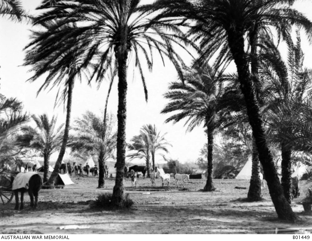 A hod, or a desert oasis, at Belah, the camp headquarters of the 3rd ...