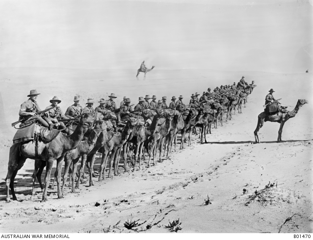Australians of the Imperial Camel Corps on the sandhills in the desert ...