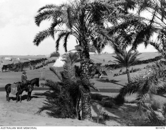 The camp of the 3rd Australian Light Horse Brigade at Belah ...