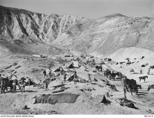 The camp of the Auckland Mounted Rifles in a secluded spot among the ...