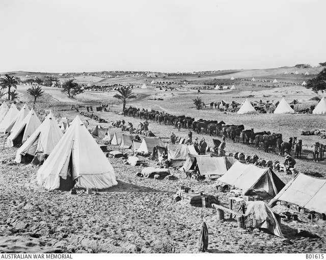 Belah. An Australian Light Horse camp in the desert. Note rows of tents ...