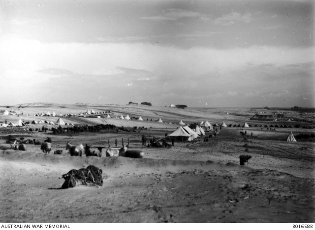 The Australian Light Horse camp on the desert sand at Belah, some ...