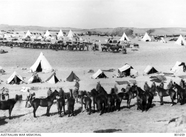 A line of horses at the Australian Light Horse camp at Belah. This is ...