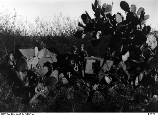 Royal Horse Artillery, attached to the Anzac Mounted Division with ...