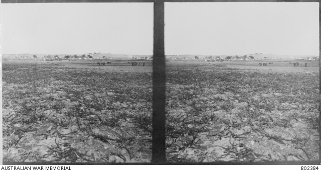 Belah. A view of the camp of the 3rd Australian Light Horse. All the ...