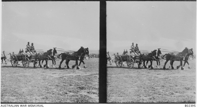 Belah, Palestine. The winners (10th Australian Light Horse Regiment) of ...