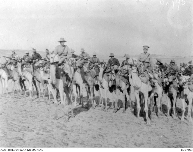 The 4th Battalian of the Imperial Camel Corps on parade on the desert ...