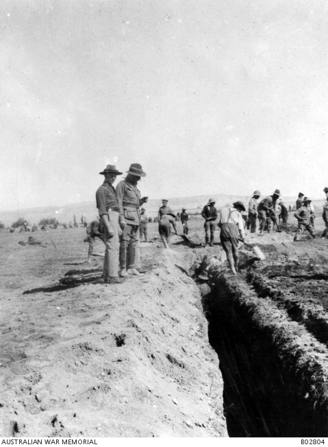 Men of the 6th Australian Light Horse digging trenches for manoeuvres ...
