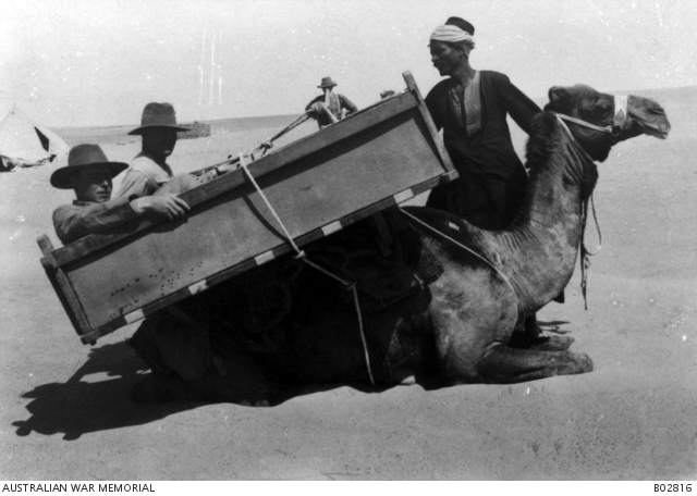 Two soldiers sitting in old type of camel cacolet which was used for ...