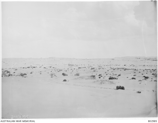 View of the desert taken from the foot of the north end of Mt Meredith ...