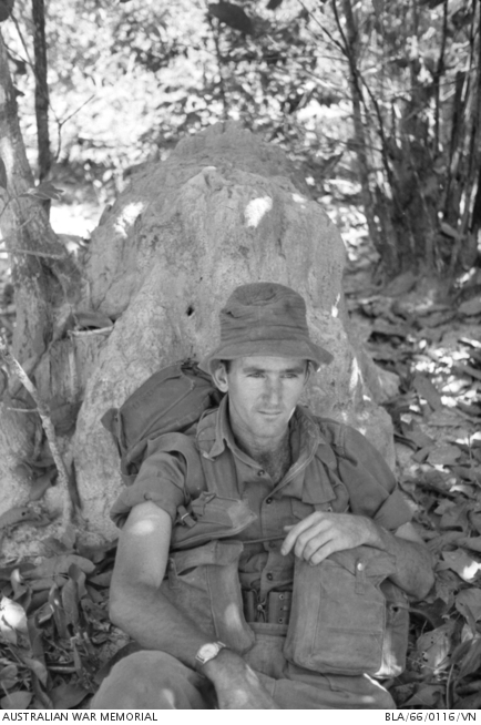 Vietnam. 1966-02. A giant ants nest provides a comfortable backrest for ...
