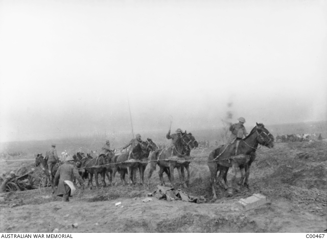 Collection related to the service of 704 Ernest Charles Barnes ...