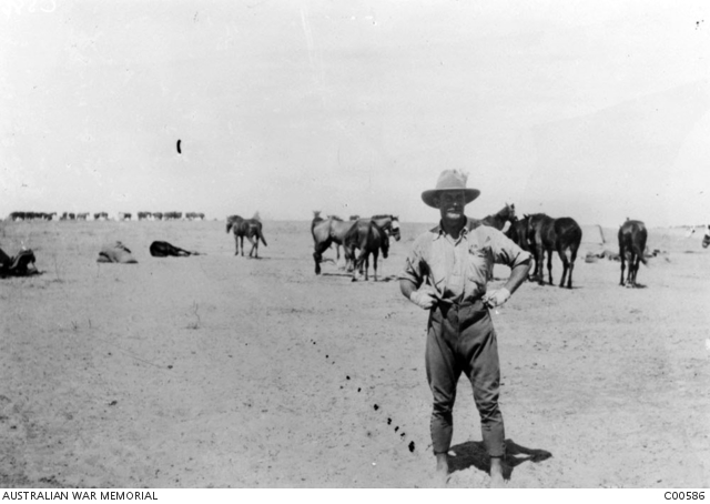 Captain William Bateson Fell of the 1st Australian Remount Unit poses ...