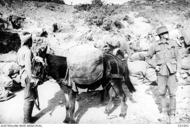 An Indian muleteer prepares to leave a field post office, his mule ...