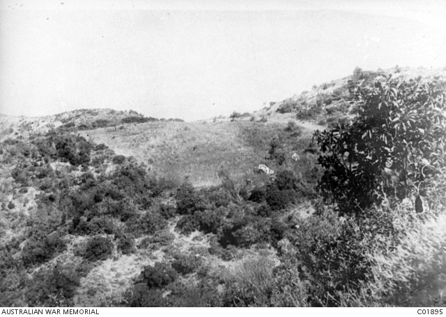 Part of a valley inland from Anzac Cove, into which the first ...