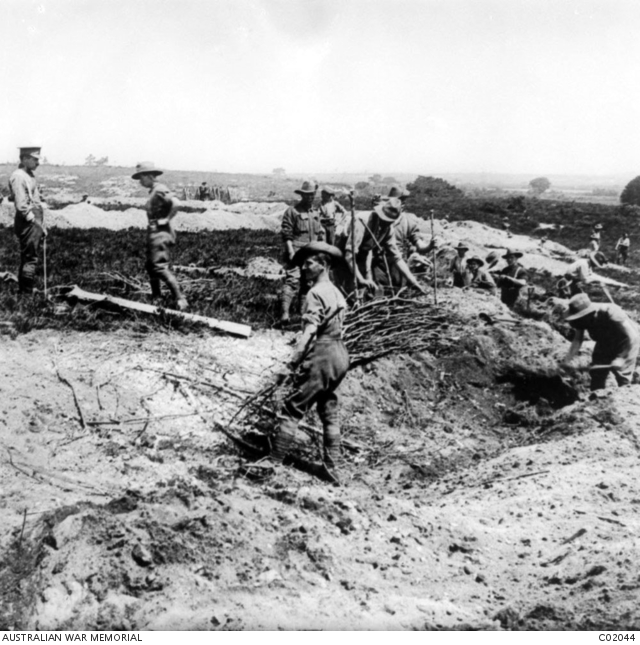 Members of the 61st Battalion digging trenches and making revetments ...