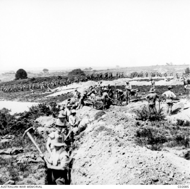Members of the 1st Battalion digging a trench system while training at ...